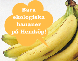 Bara ekologiska bananer på Hemköp