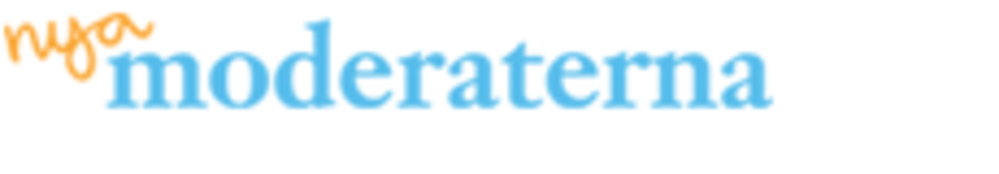 Stockholm kan gå före i klimatanpassning